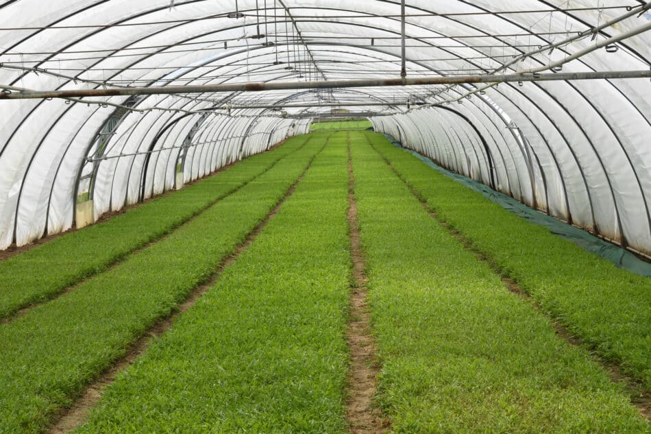 IBA-Projekt Fellbach: AGRICULTURE meets MANUFACTURING